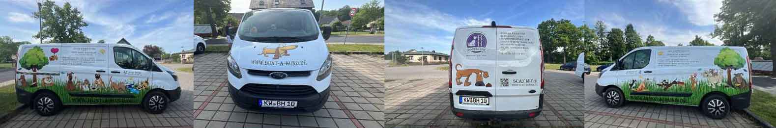 Felltaxi Waldi - Bunt-a-Hund - Dogwalker in Zossen und Umgebung